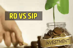 SIP vs RD: All you need to know about which is better between SIP vs RD - Business League