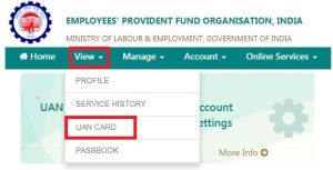 UAN Card Download: How to download UAN card, check easy process ...