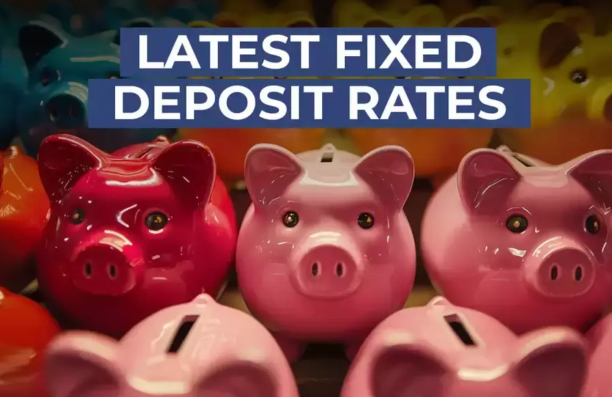 FD Interest Rate You Will Get Great Returns On FD These Banks Are